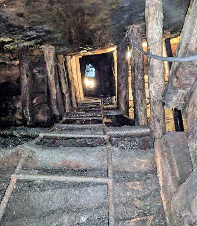 Those wooden support beams have been holding back a mountain longer than most of us have been holding back our opinions at family dinners.