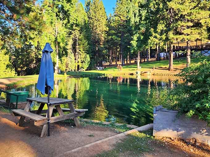 Apple Hill's High Hill Ranch offers scenic views that make you forget about your phone for five minutes.