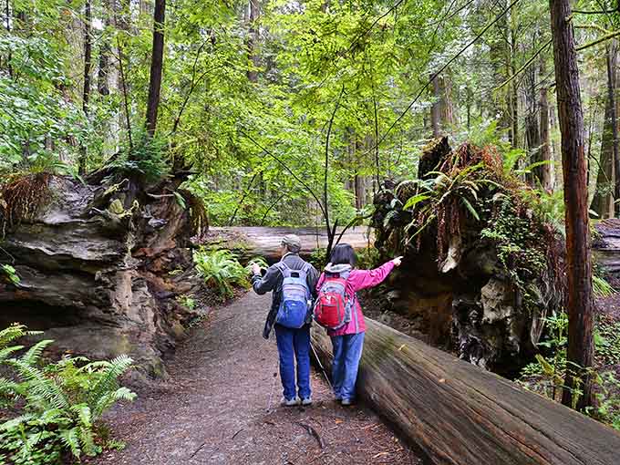 Sometimes the best adventures require a little teamwork, a sense of humor, and waterproof boots you probably should've worn.