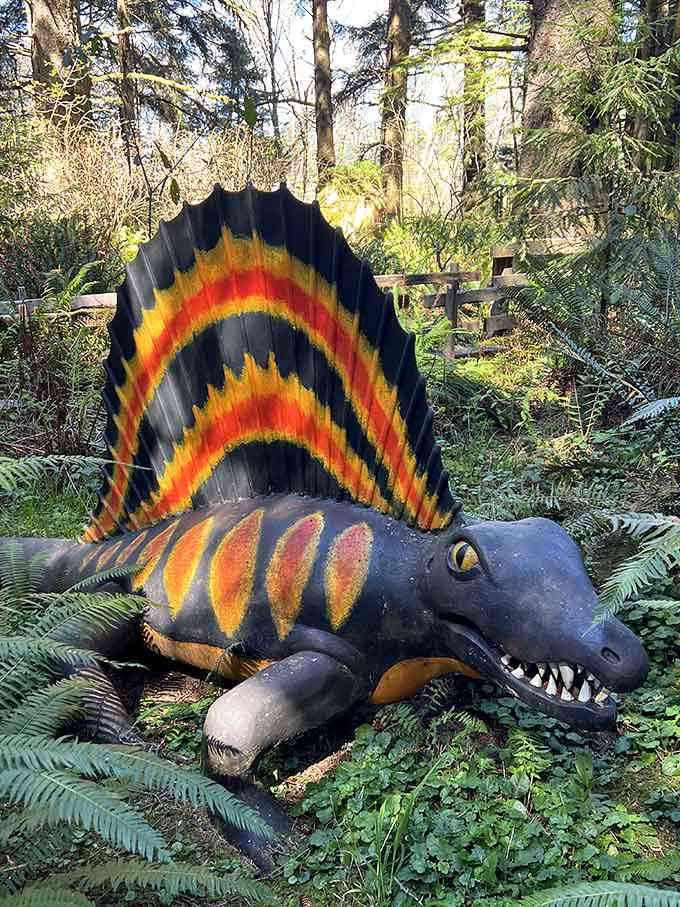 Sporting a sail that would make any 1970s album cover jealous, this guy's ready for his close-up.