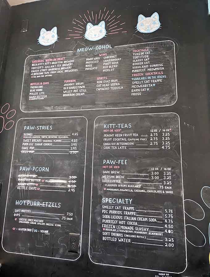 Meow-gohol and "Kitt-Teas" prove someone's having way too much fun naming drinks, and we're here for it.