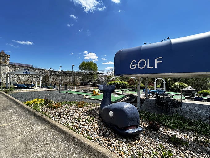 Mini-golf with a river theme? This whale of a good time proves Fort Madison knows how to have fun without taking itself too seriously.
