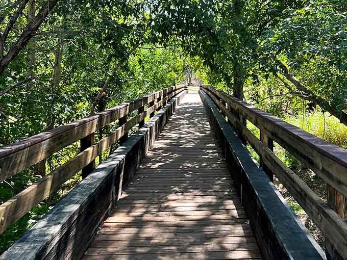 This shaded boardwalk through the riparian zone is your air-conditioned corridor through the desert, courtesy of Mother Nature herself.