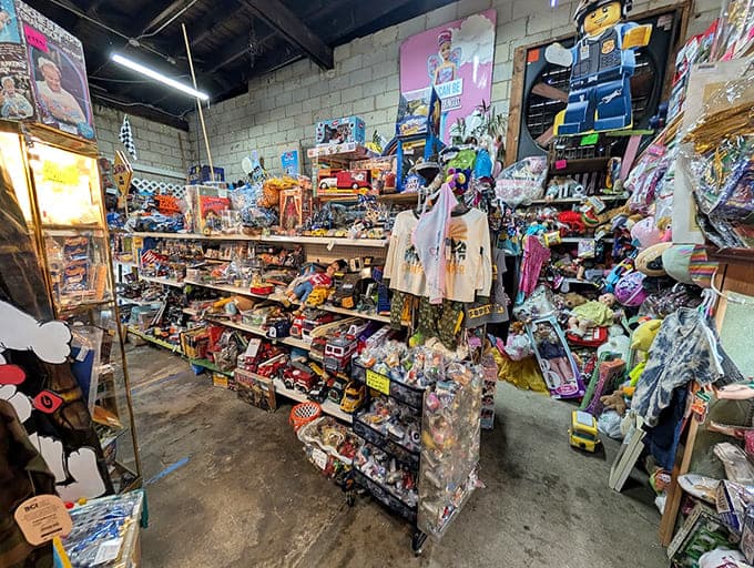 This toy section is basically your childhood calling collect, and you should definitely accept the charges.