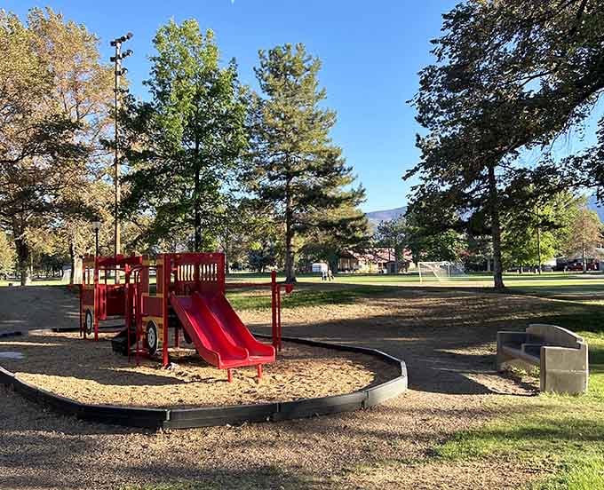 Red slides and open spaces where kids can actually be kids without scheduling it three weeks in advance.