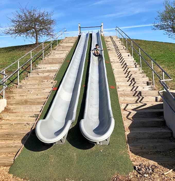 These aren't your average playground slides; they're basically roller coasters disguised as responsible parenting choices.