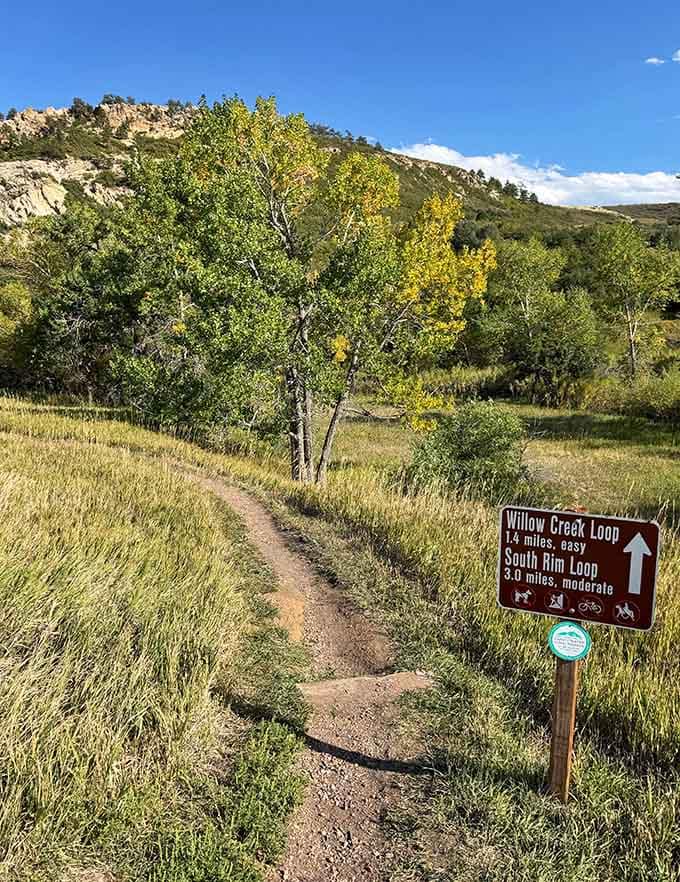 Trail signs promising easy loops through this wonderland&mdash;because sometimes the best adventures don't require mountaineering skills.