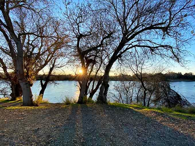 Sunset through riverside trees creates the kind of natural cathedral that no architect could ever design or improve upon.