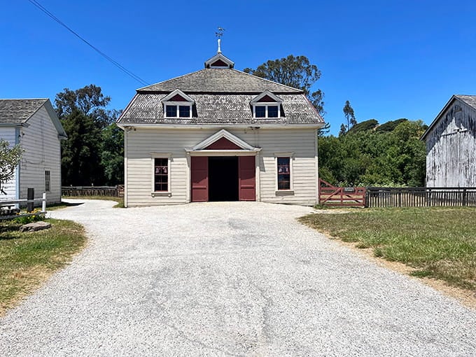 Historic barns at Wilder Ranch stand as reminders that Santa Cruz was farming long before it was funky.