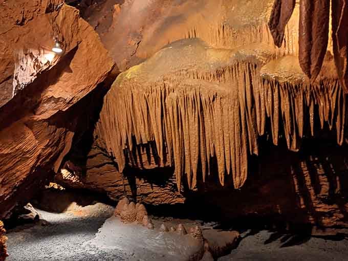 Delicate formations cluster together like a stone garden, each piece more intricate than any human sculptor could manage.