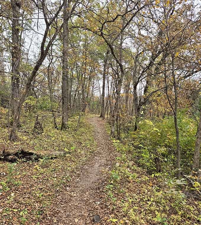 The trail beckons through autumn woods, promising adventure without requiring a sherpa or supplemental oxygen.