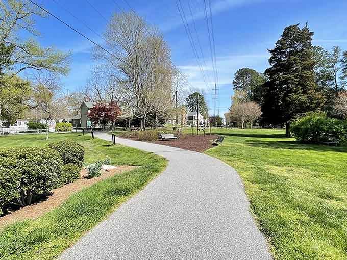This peaceful walking path proves that sometimes the best attractions are the simplest ones.