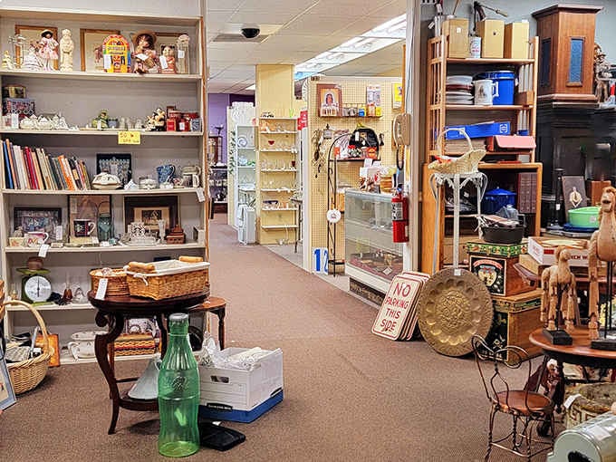 Each aisle is like a different decade decided to have a yard sale, and somehow they're all happening simultaneously.