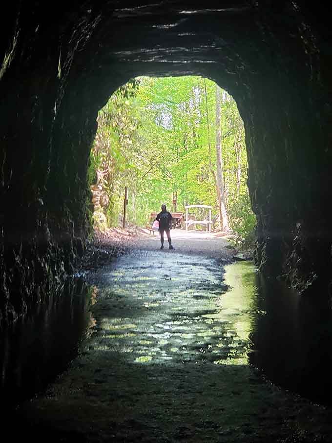 Standing at the threshold between light and darkness, you're about to step into living, breathing history.