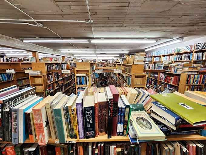Floor-to-ceiling shelves stretch into the distance like a reader's fever dream come gloriously to life.