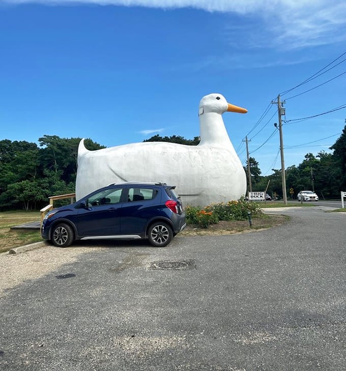 Your compact car provides the perfect scale reference for just how impressively large this concrete waterfowl actually stands.