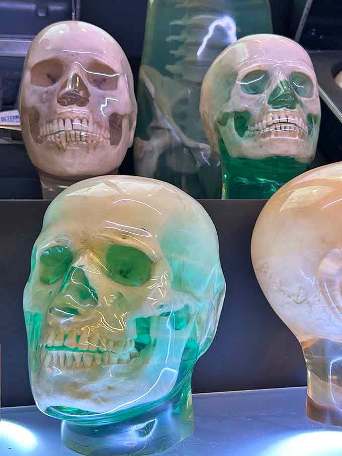 These resin-preserved skulls look like something from a sci-fi movie, proving that science can be seriously artistic.