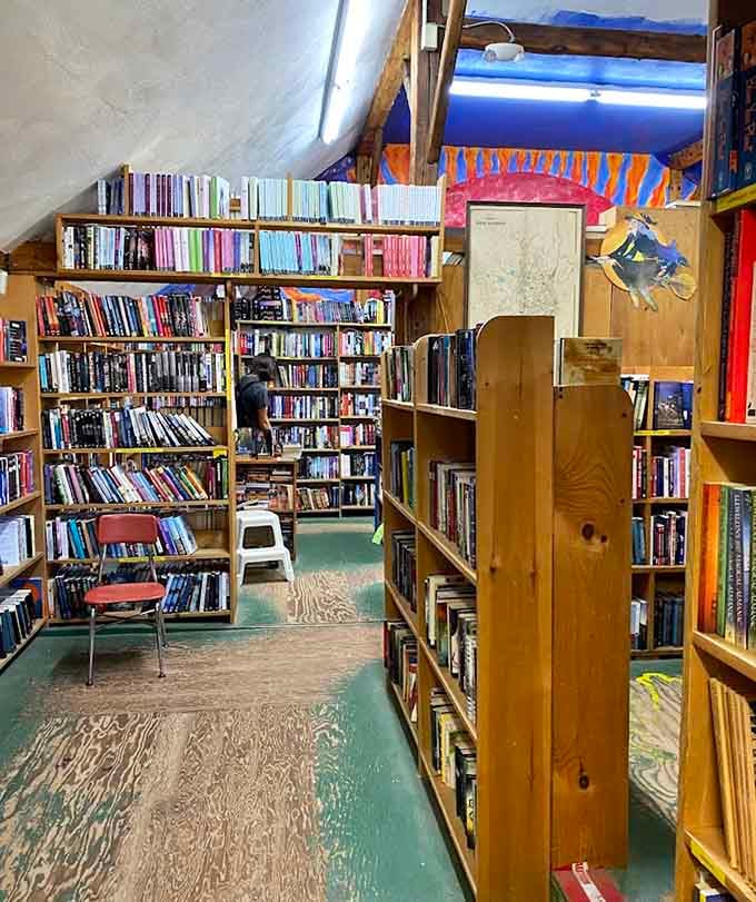 Books stacked to the rafters create maze-like passages where getting lost is half the fun.