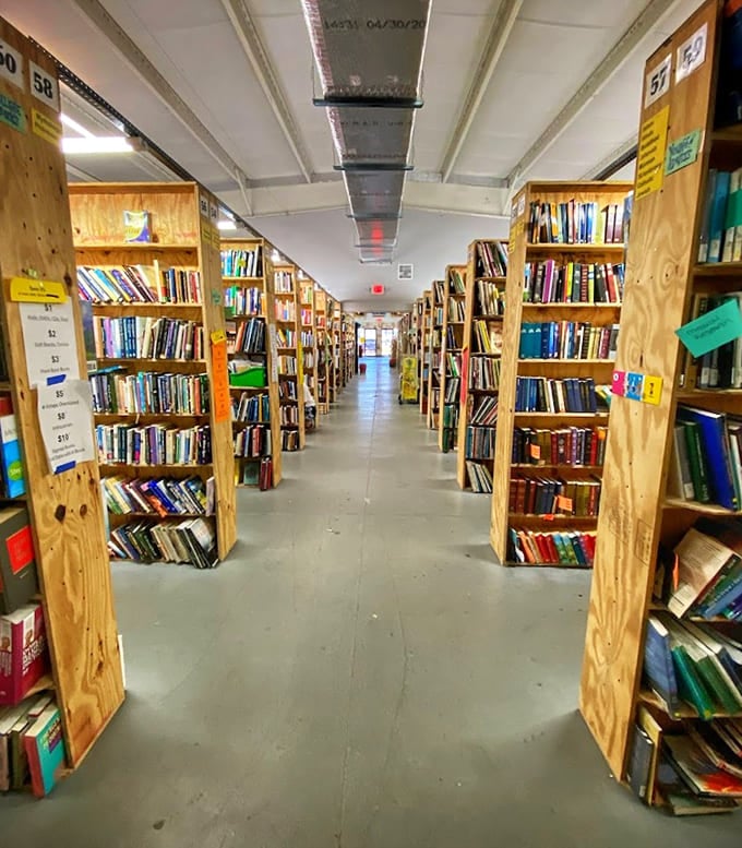 This aisle perspective could make even non-readers feel the pull of a thousand untold stories beckoning forward.