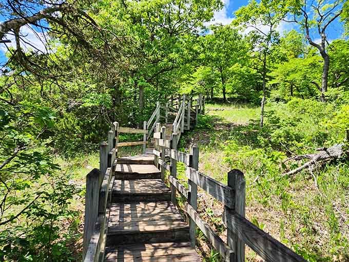 These winding boardwalks make you feel like you're in a fairy tale, minus the talking animals and questionable plot lines.