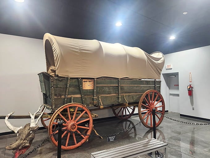 A covered wagon that's seen more desert crossings than your GPS has seen recalculating routes, beautifully preserved history awaits.