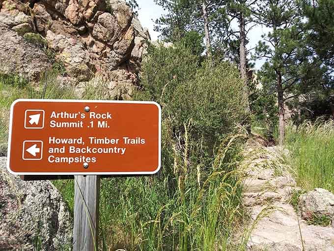 Trail signs: the unsung heroes of hiking. This one promises adventure to Arthur's Rock, where views worth every drop of sweat await.