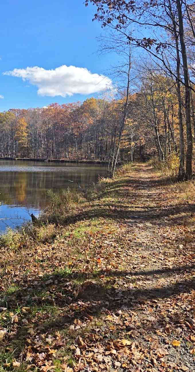 Fall trails along the lake offer peace, beauty, and proof that New Jersey has serious scenery.