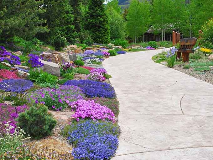 The Betty Ford Alpine Gardens prove that beauty thrives at any altitude, even when you're gasping for breath.