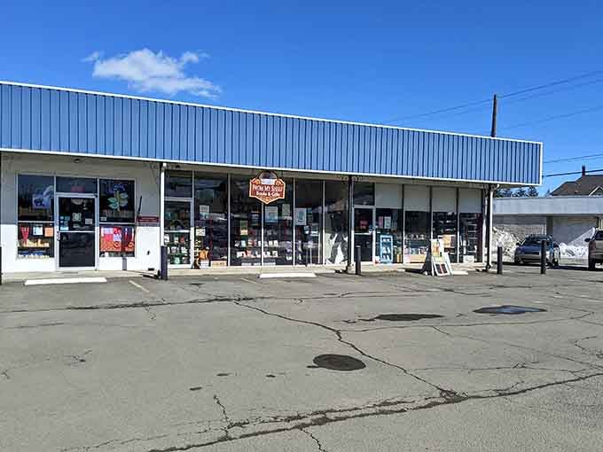 From My Shelf Books & Gifts proves that independent bookstores still have plenty of stories left to tell.