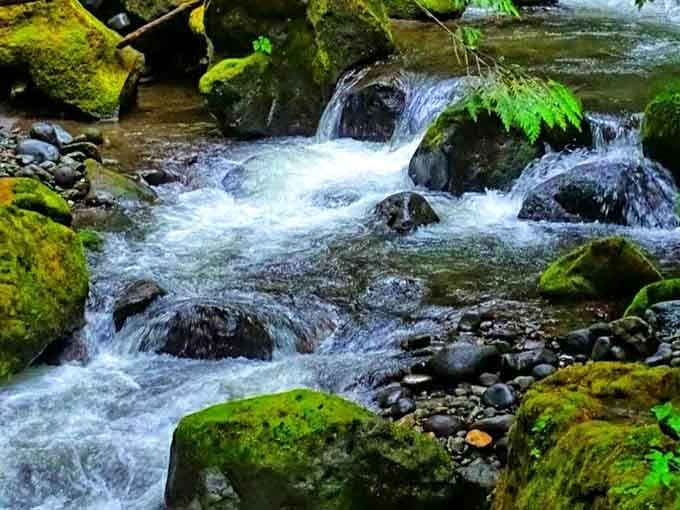 The creek meanders through like it's got all the time in the world, because honestly, it does.