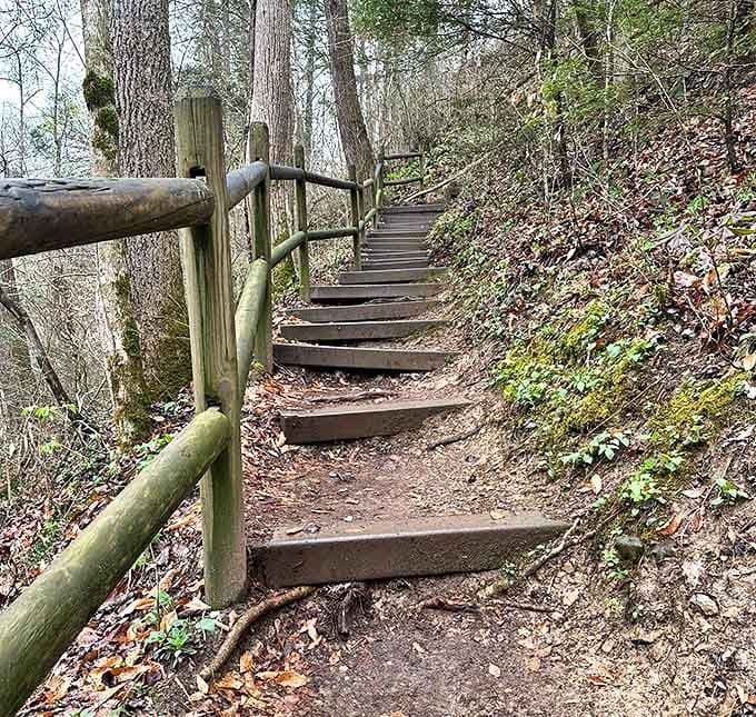 These rustic steps aren't just a path; they're a stairway to waterfall heaven, each wooden tread bringing you closer to the thunderous symphony ahead.