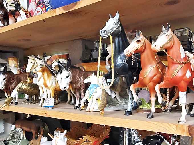 This miniature cavalry stands ready for new adventures, from dignified porcelain steeds to playful painted ponies&mdash;someone's childhood dreams waiting for a second chance.