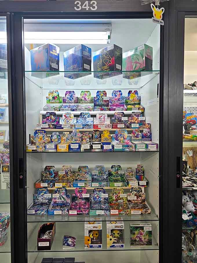 Trading cards organized like a museum exhibit, because someone's childhood collection deserves this level of respect.