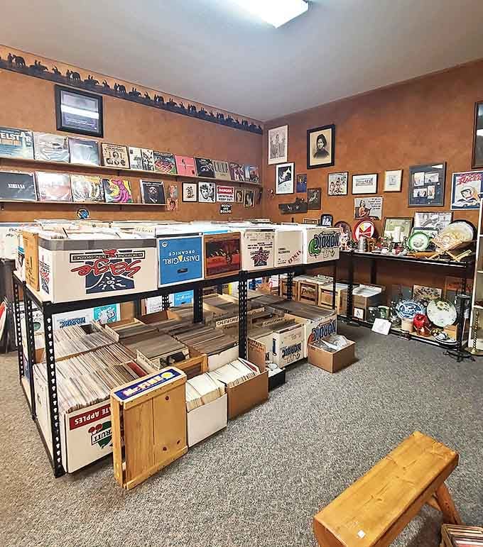 Vinyl heaven awaits music lovers with rows of albums that survived the digital revolution, each cover art a window to another era.