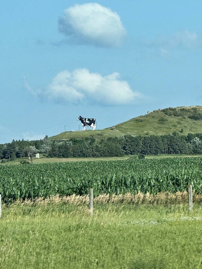 Like a surreal mirage on the horizon, Sue commands attention from miles away, a black-and-white sentinel watching over the prairie.