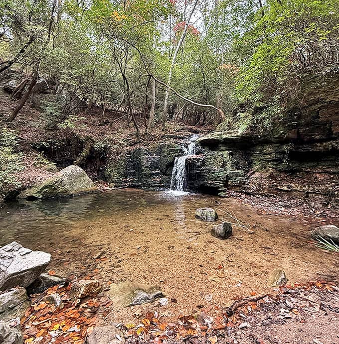 This modest waterfall proves you don't need Niagara's drama to create a perfect meditation spot. Nature's white noise machine.