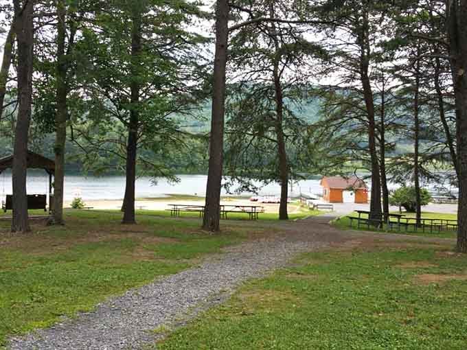 Tall pines frame the lake view like nature's own picture window. This spot practically begs for a picnic and an afternoon nap.