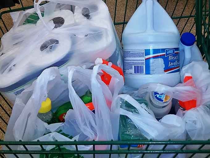 A cart filled with household essentials that would cost triple elsewhere. This isn't shopping&mdash;it's financial self-defense in a Minnesota winter.