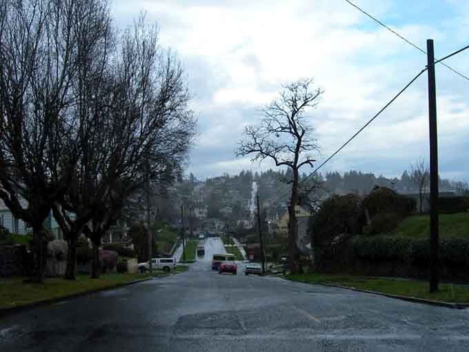 Astoria's hillside streets offer a cinematic view that would make any postcard jealous. The misty backdrop adds perfect Pacific Northwest drama.