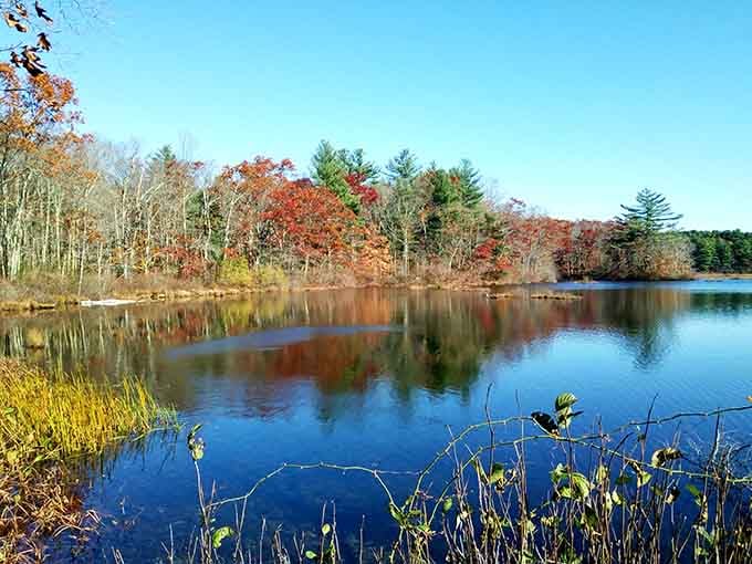 The water mirrors the sky so perfectly here, you'll wonder which way is up in this beautiful confusion.