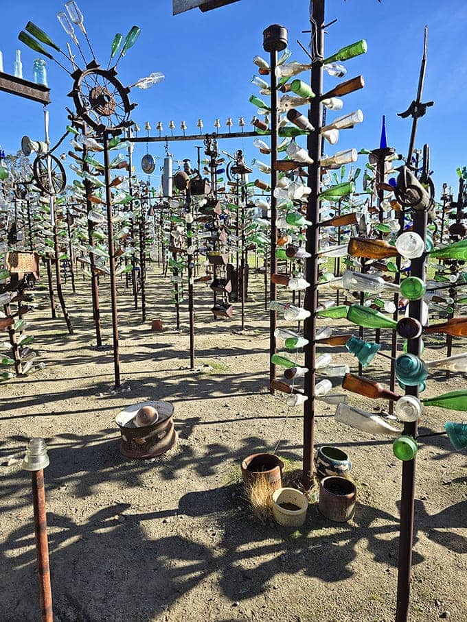 Thousands of glass bottles catch desert light, creating a symphony of color that sings in the wind.