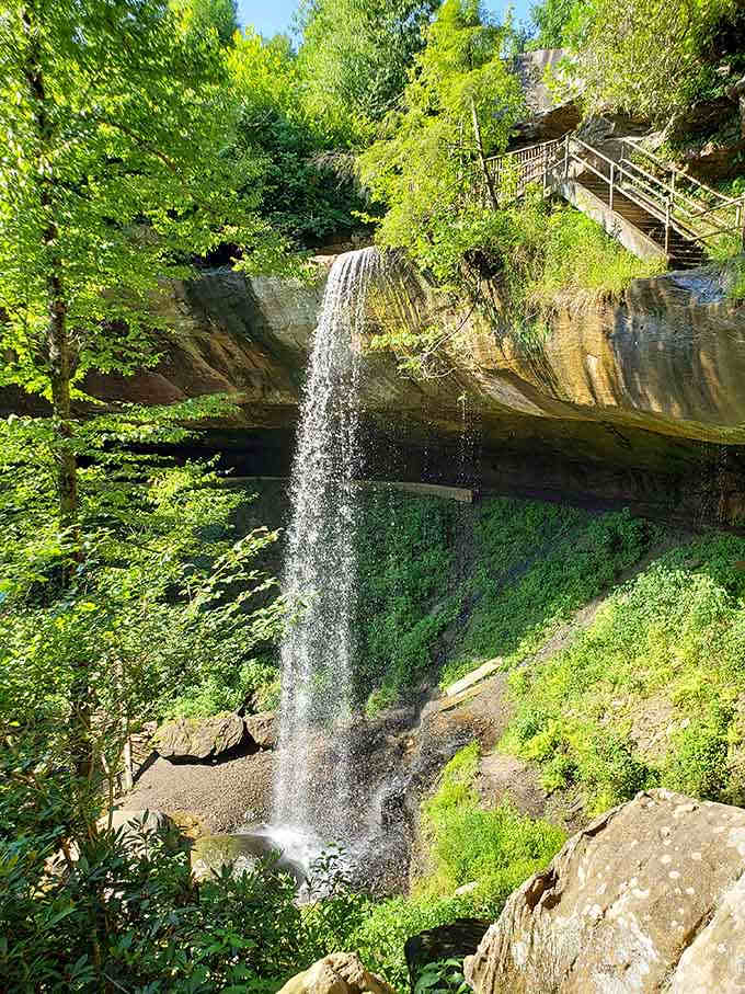 Moss-covered cliffs and cascading water create a scene straight from your favorite nature documentary.