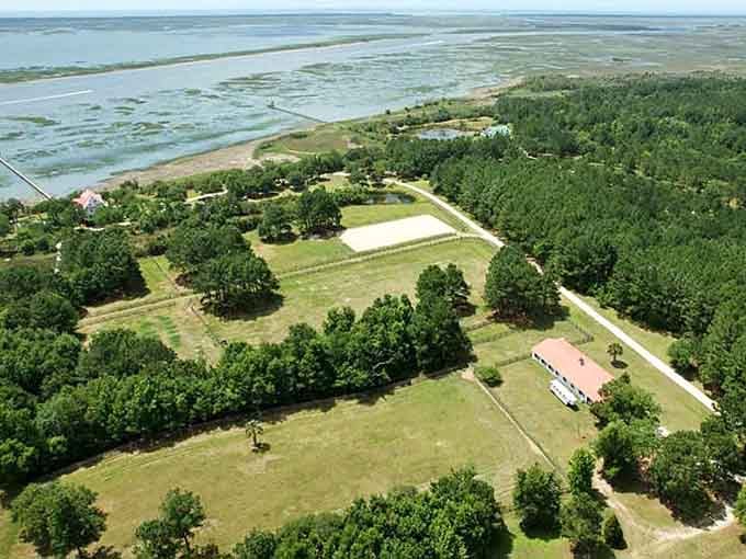 From above, Bull Island reveals its secrets: emerald forests meeting golden marshes where land and sea dance together.