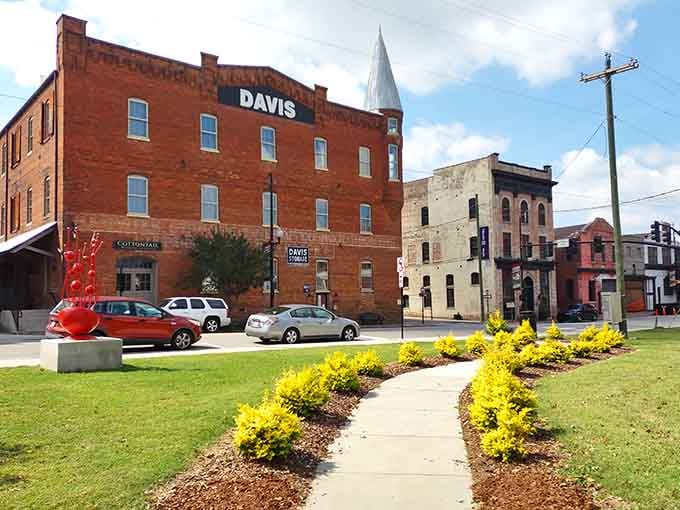 Bright yellow bushes guide you through downtown streets where history and community still matter more than chain stores.