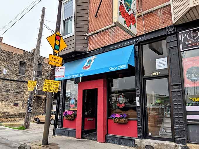 That bright pink door practically shouts "adventure awaits inside" while the wild octopus mural adds serious street cred.