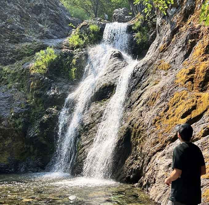 Water splits into twin streams here, dancing down the orange-tinted rocks like synchronized swimmers in a mountain show.