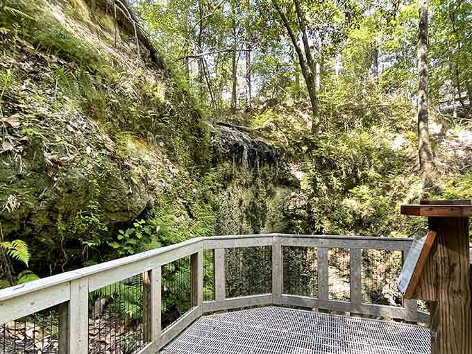 Florida's tallest waterfall plunges into darkness like a magic trick that never reveals its secret ending point.