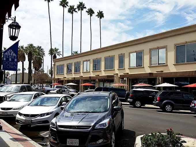 Palm trees stand guard over Hemet's streets like California sentries, promising sunshine and affordable living year-round.