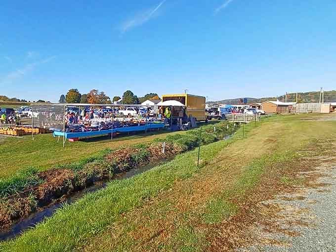 Morning light bathes the grassy market grounds where vendors display their wares against a backdrop of rolling hills.