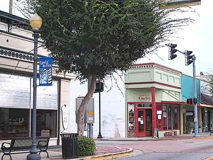 Corner storefronts with vintage charm line streets where trees provide shade better than any modern awning could.